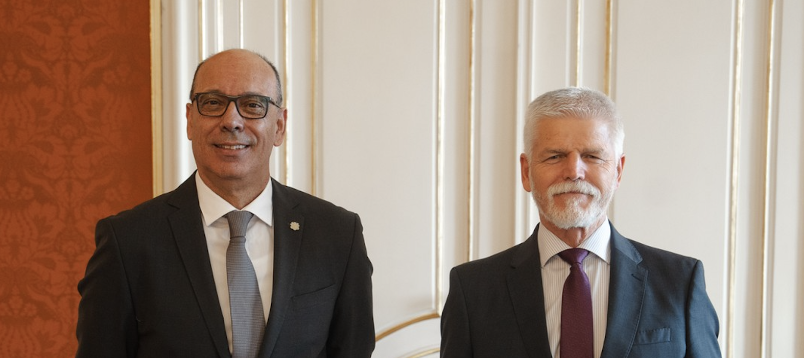 The President of the Republic received new Ambassadors - Czech & Slovak ...